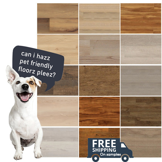 Pet Friendly Flooring – Best Floor for Dogs